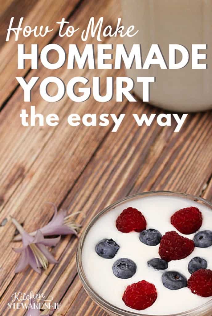 Homemade Yogurt Recipe and Troubleshooting