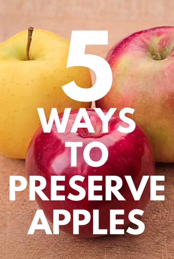 How to Use and Preserve Apples - Dehydrate, freeze or can!