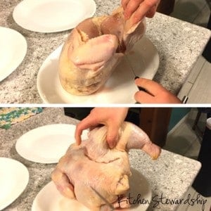 Help Handling the Whole Chicken: How To Cut Up a Whole Chicken {Plus ...