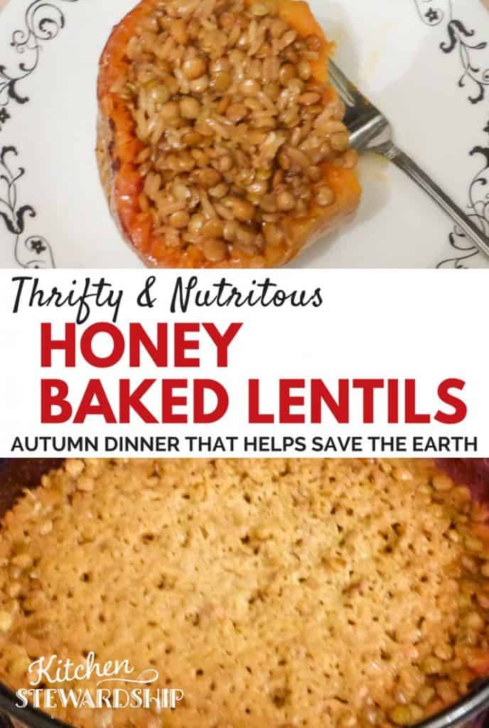 Tasty, Thrifty and Nutritious Autumn Dinner - Honey Baked Lentils