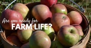 What Everybody Ought to Know About Living on a Farm
