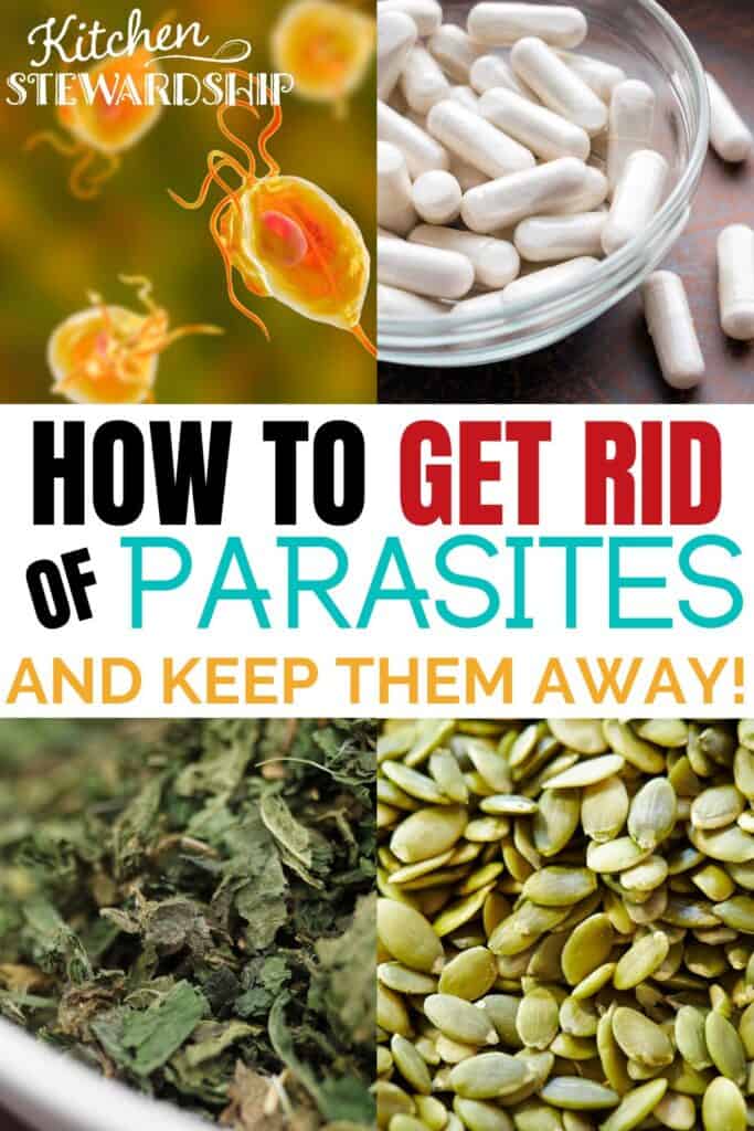 How to Get Rid of Parasites and Keep Them Away for Good! | Kitchen ...